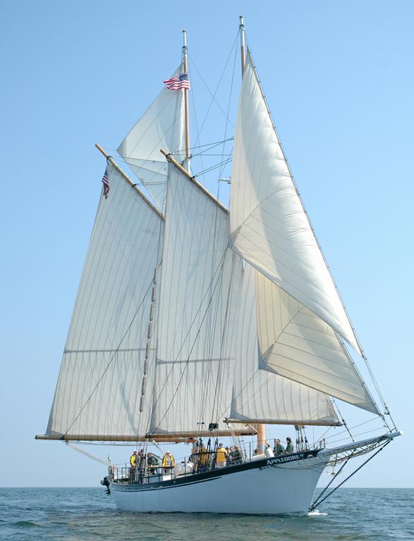 BaySail - Appledore Tall Ships - Bay City MI 48708 | 989-895-5193