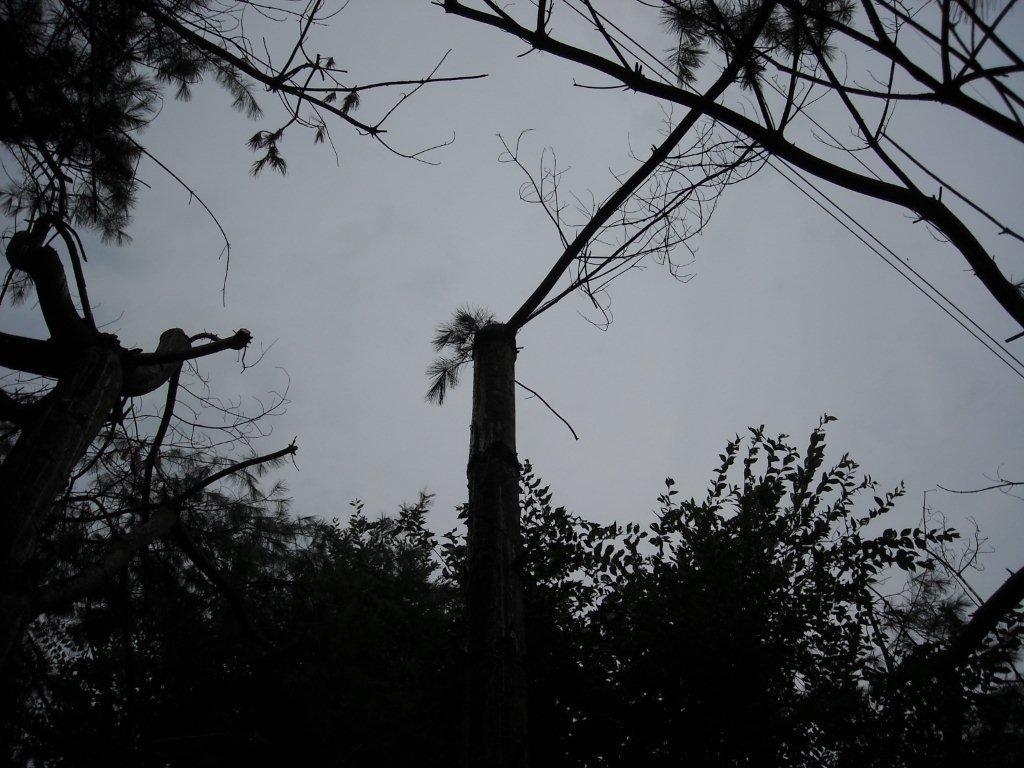 Map and Directions to Kappen Tree Service LLC in Cass City, MI 48726