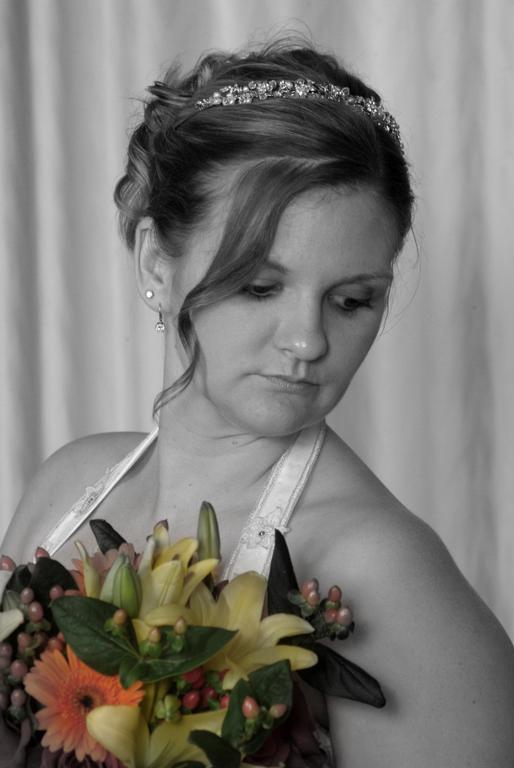 Pictures for Amy Deming Photography in Paw Paw, MI 49079