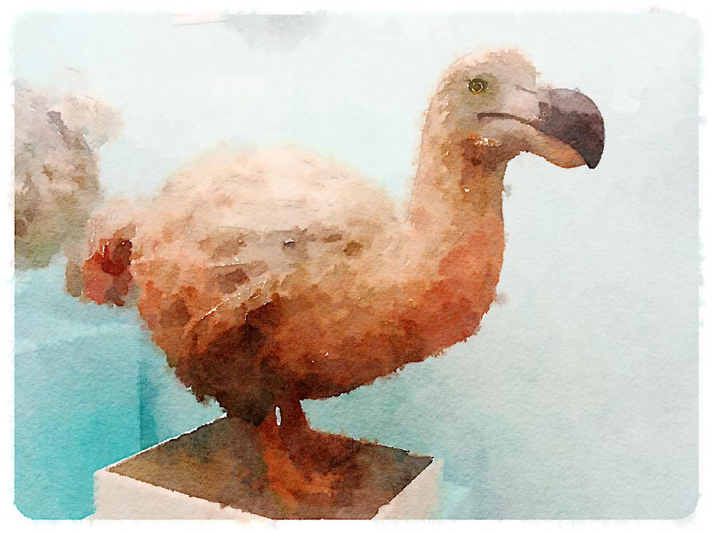 How to Make a Model Dodo Bird for a Project - Articles - MerchantCircle